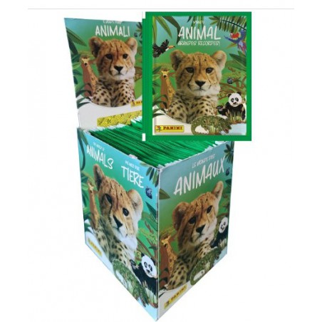 Panini Mundo Animal Grandes Recordes - 2024- Caixa completa
