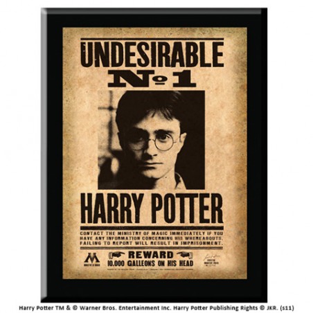 Harry Potter : Undesirable No. 1 Sign Poster